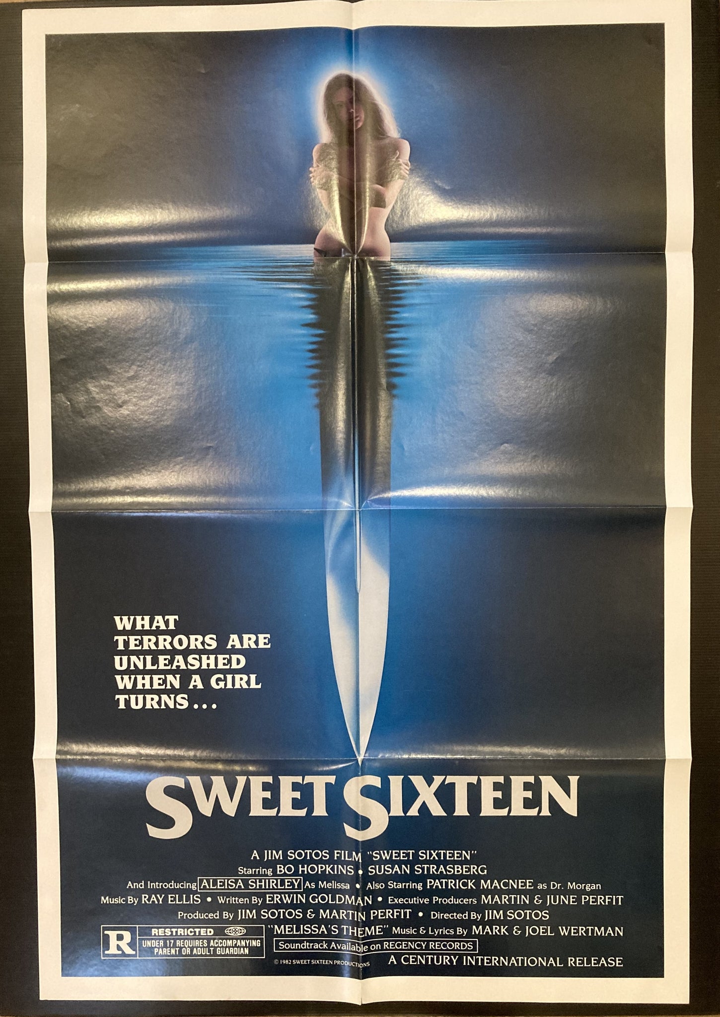 Original vintage horror movie film poster - Sweet Sixteen 1983 slasher ...