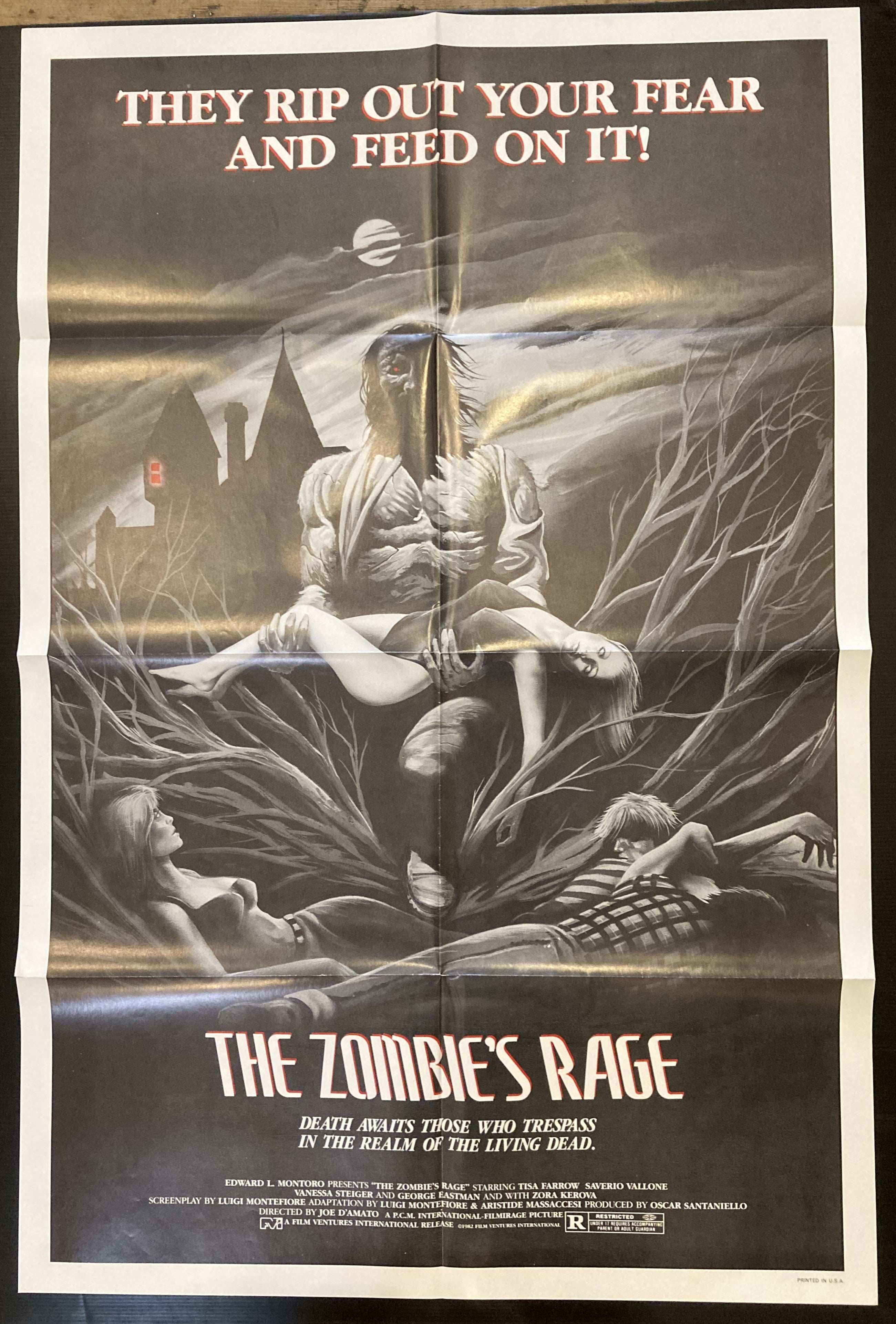 Original vintage horror movie film poster - The Zombies Rage USA 1 she ...