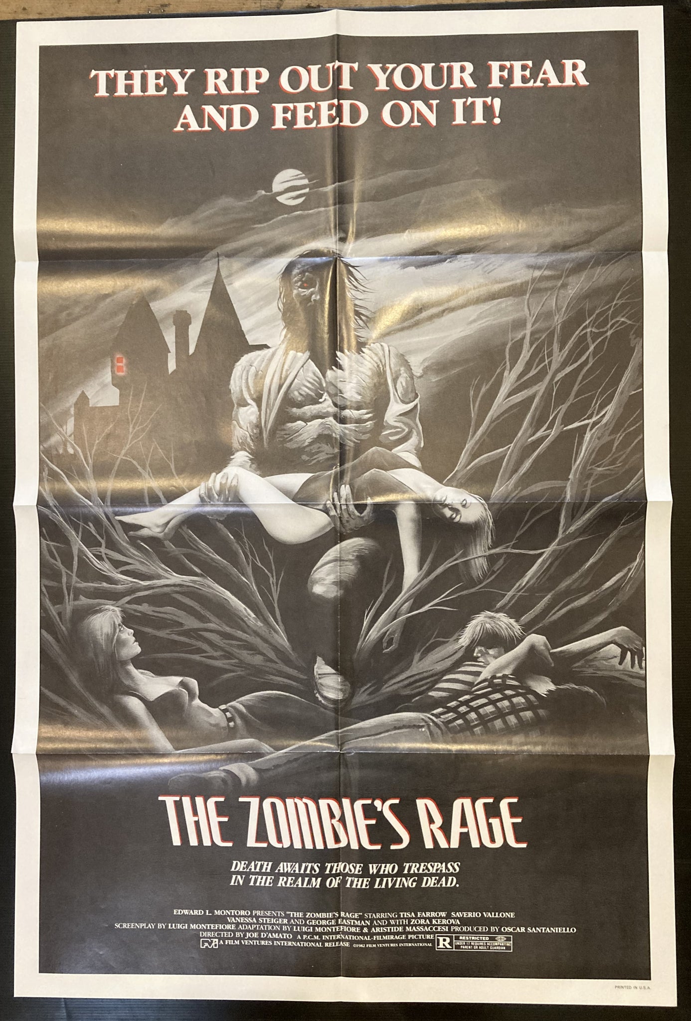 Original vintage horror movie film poster - The Zombies Rage USA 1 she ...